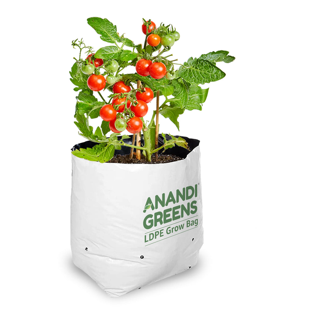 Buy Grow Bags Online | Buy Planting Bags Online | Best Prices in India ...