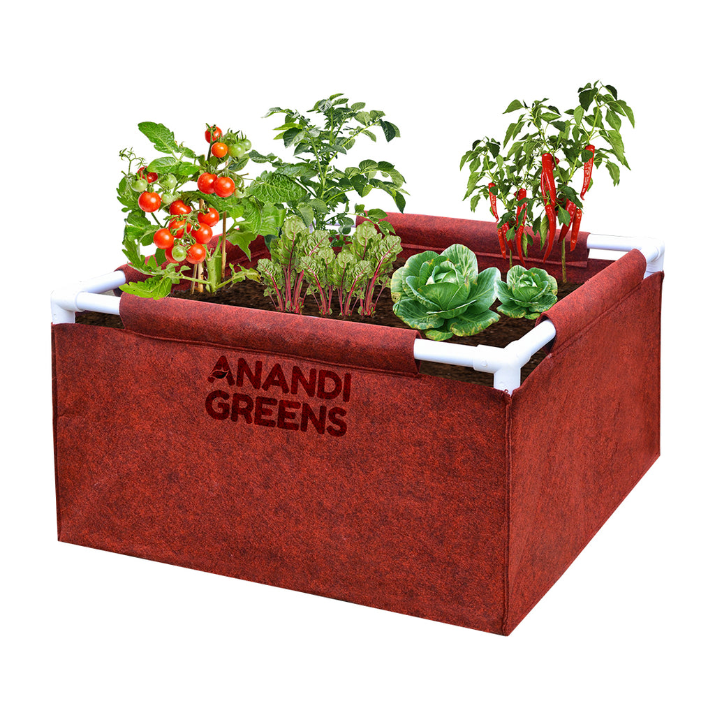 Anandi Green's — Anandi Green's
