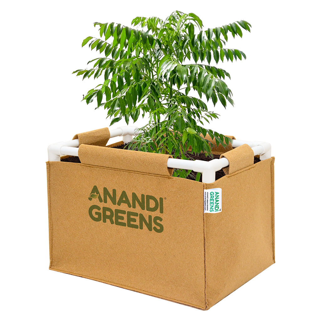 Products — Anandi Green's