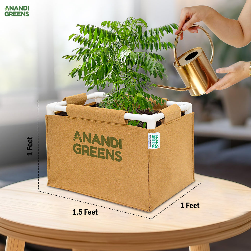 Products — Anandi Green's