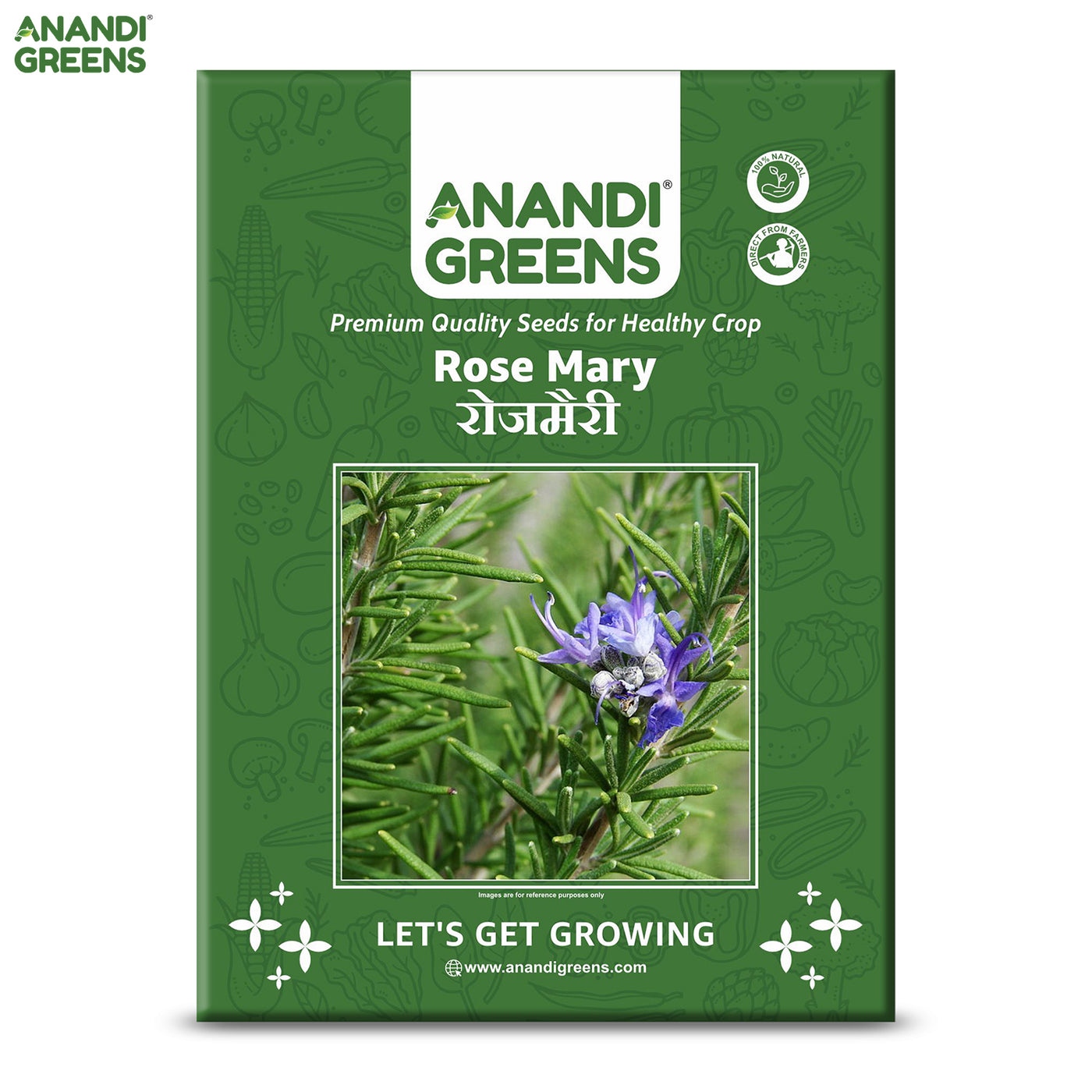 Rosemary Seeds (रोज़मेरी) | Aromatic Herb Seeds for Kitchen — Anandi ...