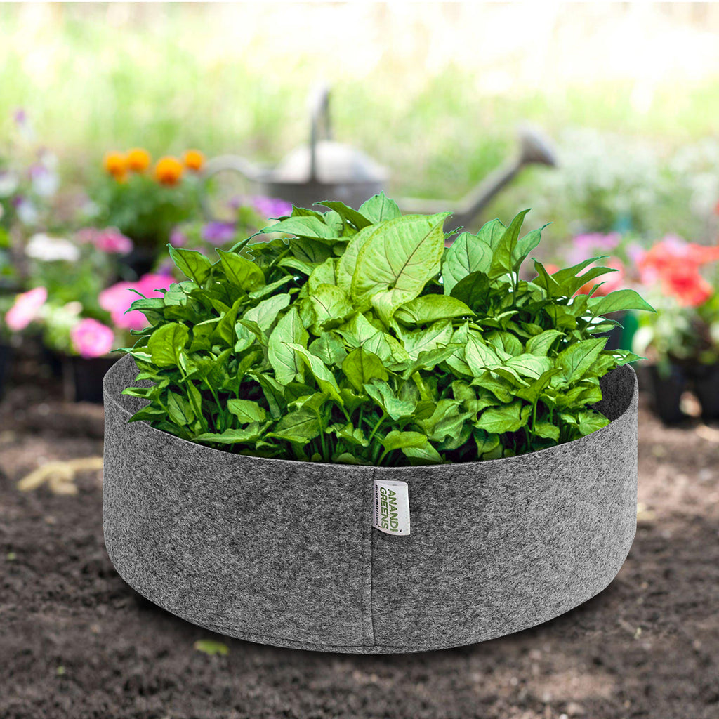 Buy All Home Gardening Essentials at Best Price — Anandi Green's