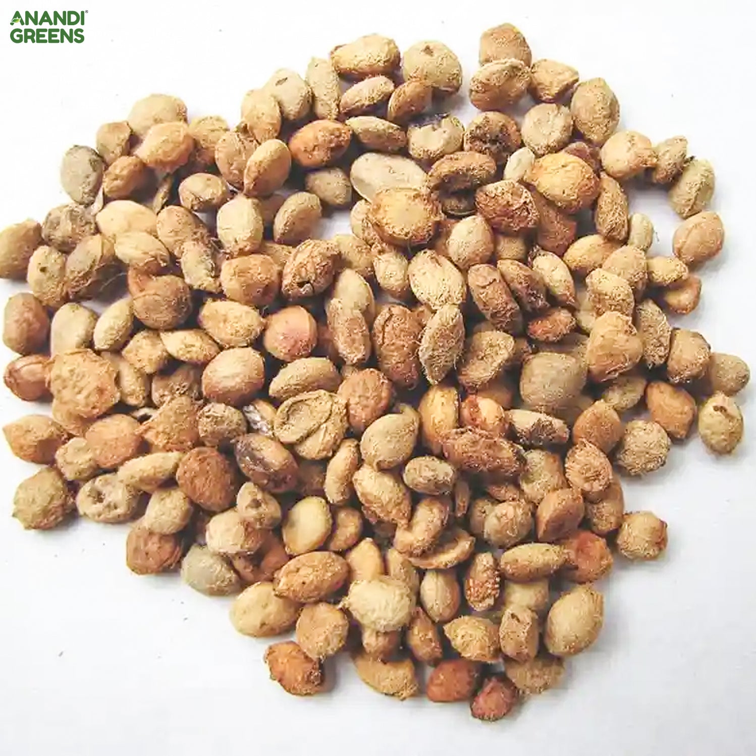 Bael Seeds | बेल पत्र (10 seeds) — Anandi Green's