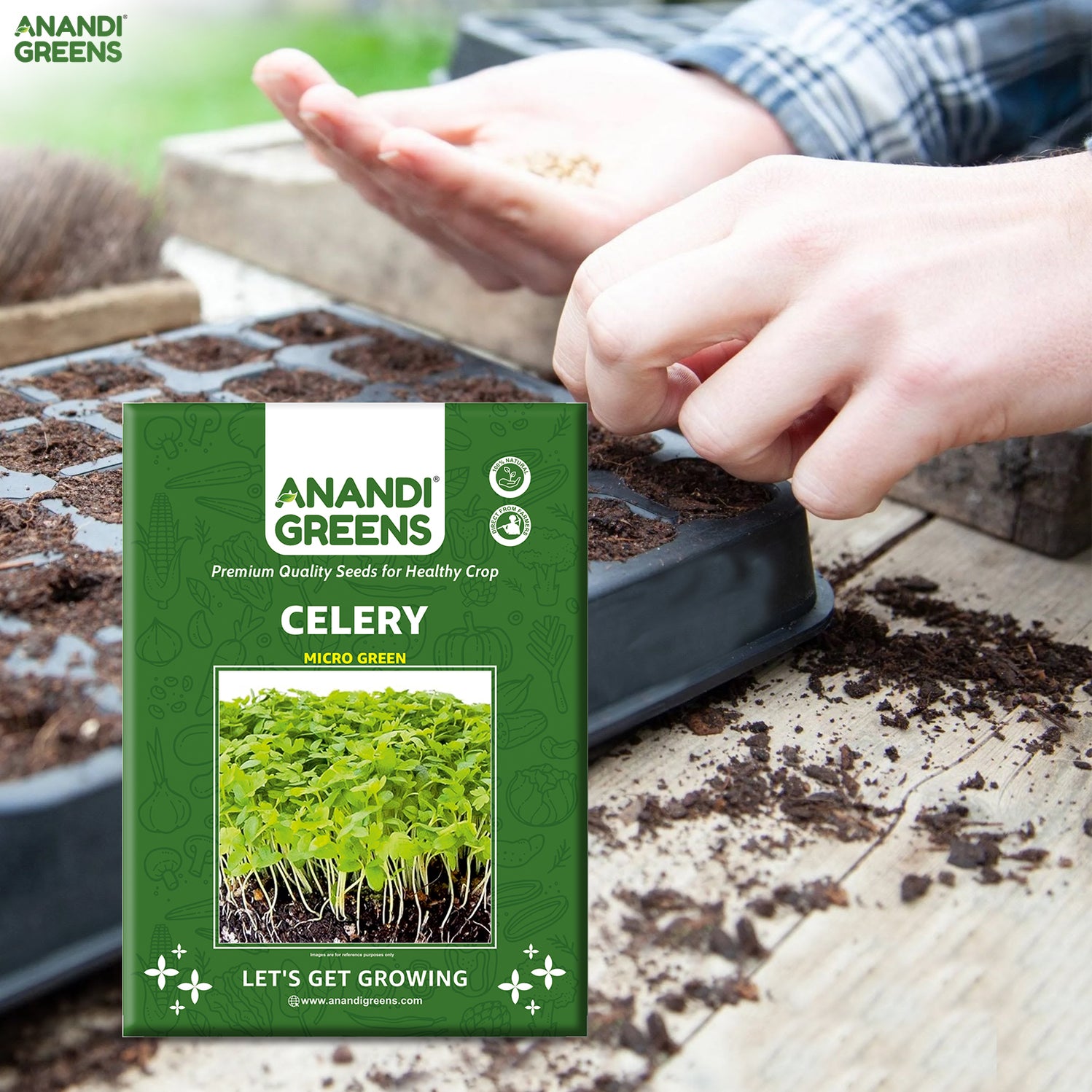 Celery Microgreens – Fresh, Nutritious & Easy to Grow at Home - Anandi Green's