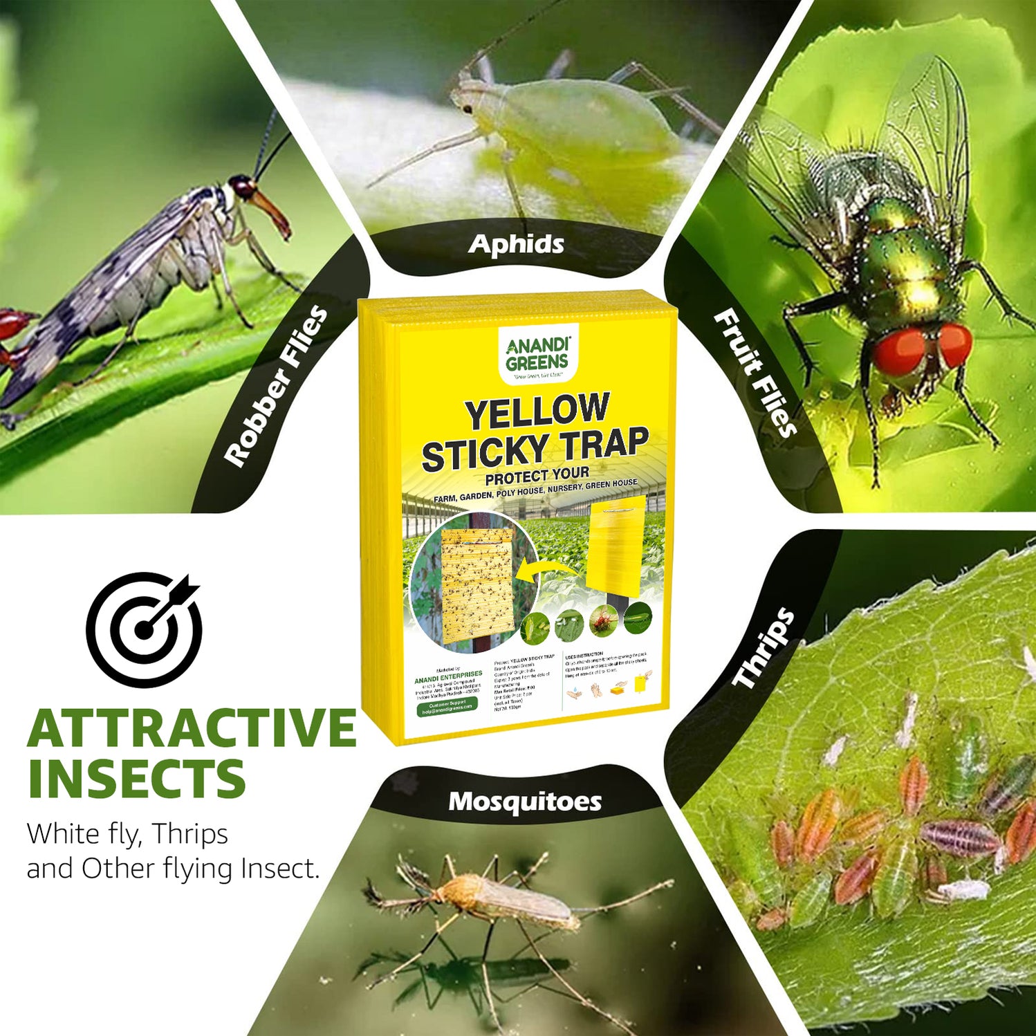 Yellow Sticky Insect Traps – Insect & Pest Control for Plants - Anandi ...