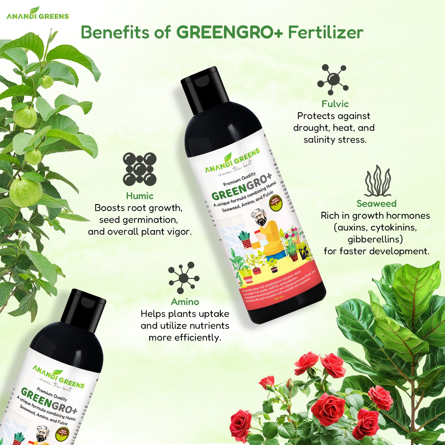 Liquid Green Gro Plus | Premium Quality Balanced Nutrient — Anandi Green's