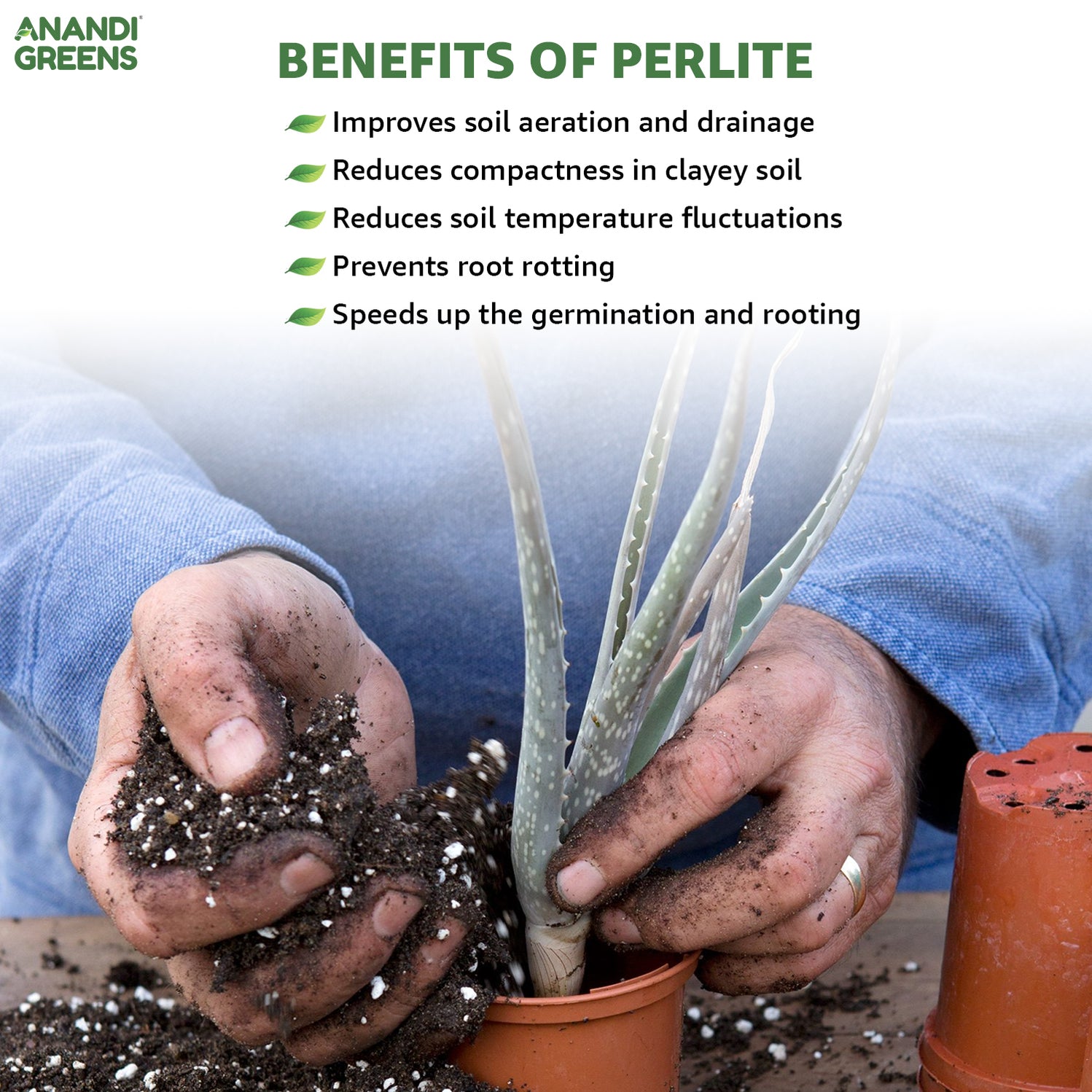 Premium Quality Perlite Granules | Soil Mixture for Organic garden ...
