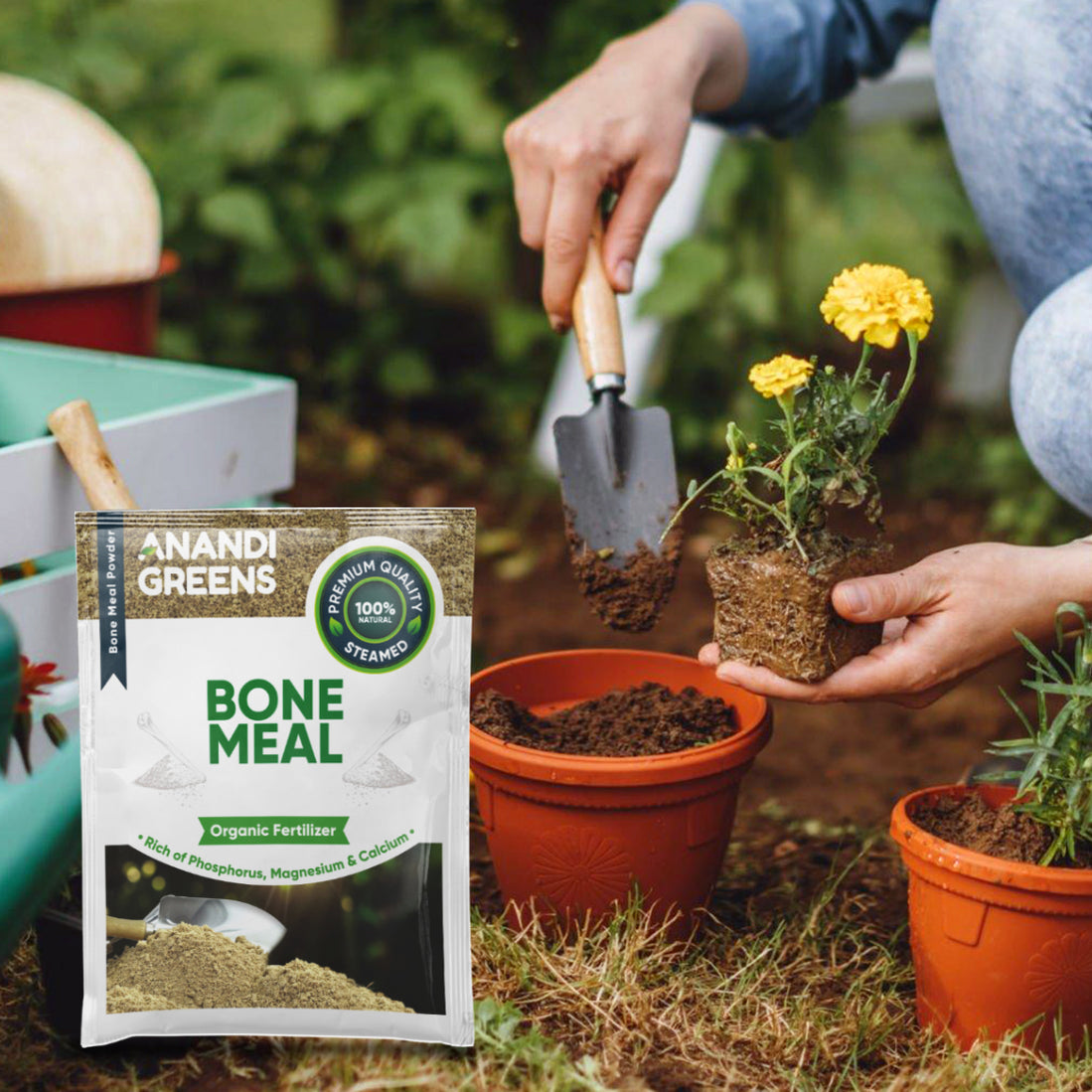 Bone Meal Fertiliser for plants for organic gardening — Anandi Green's