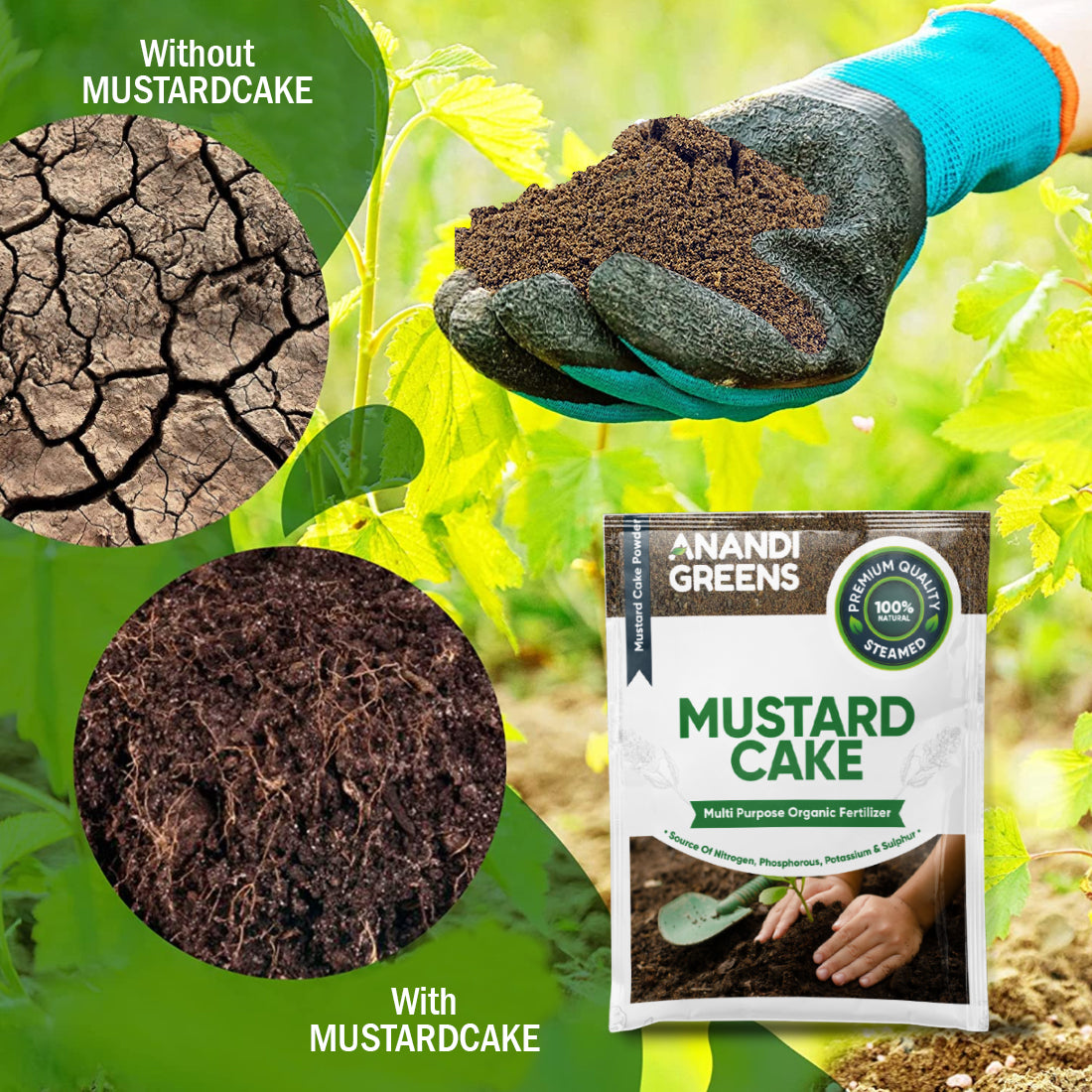 Premium Quality Mustard (Sarso) Cake Powder – Anandi Green's