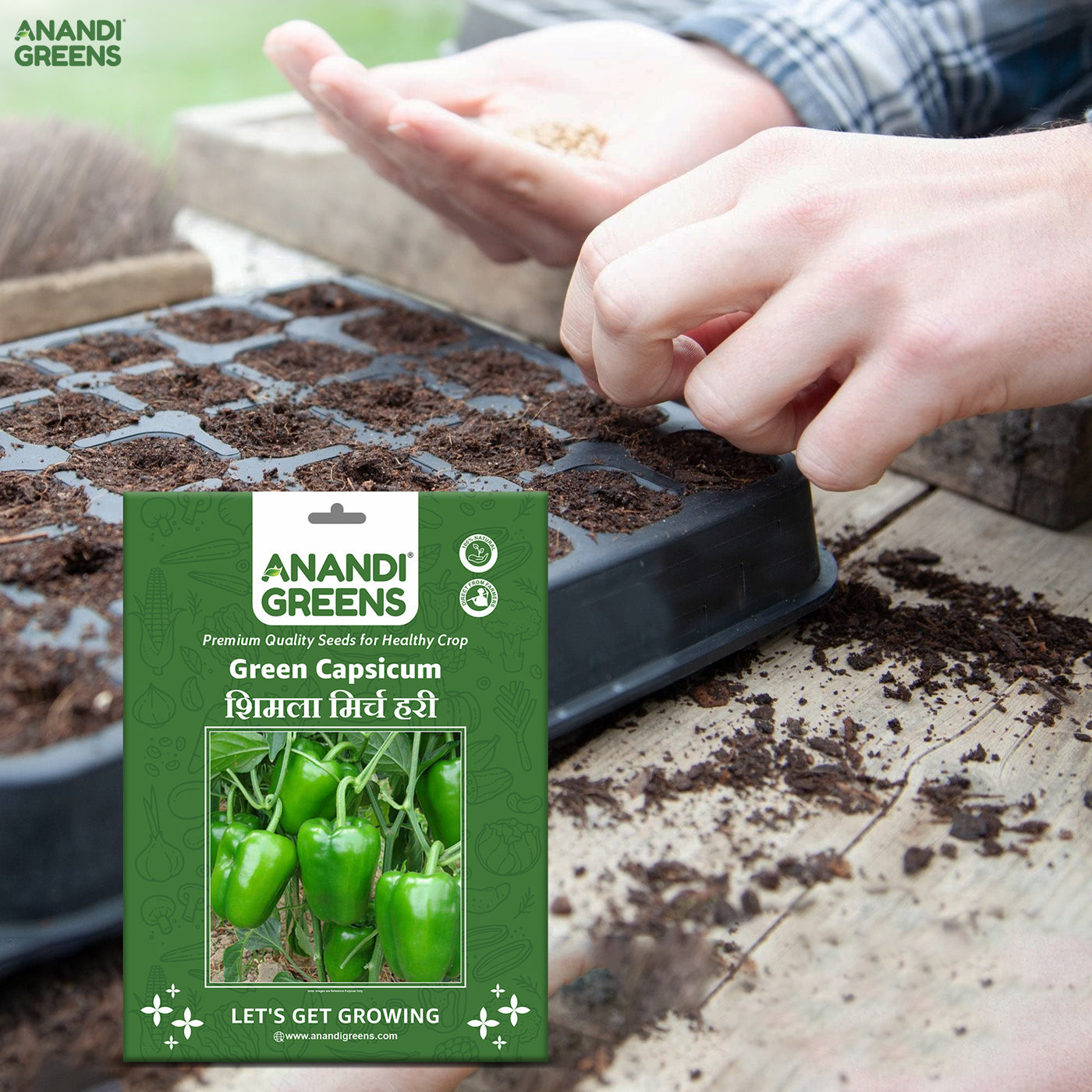 Capsicum Green F1 Hybrid Seeds – High Yield & Fresh Flavor — Anandi Green's