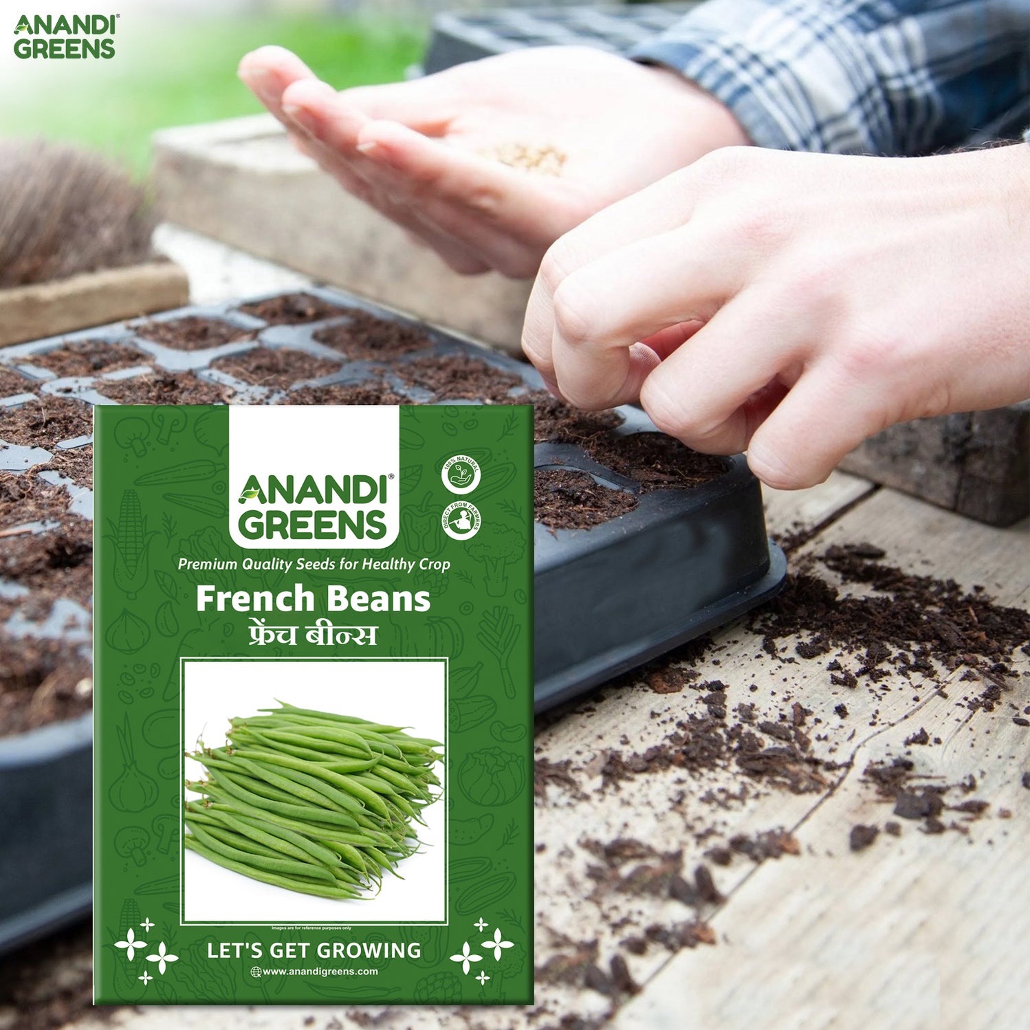 Great Description About French Green Bean Seeds