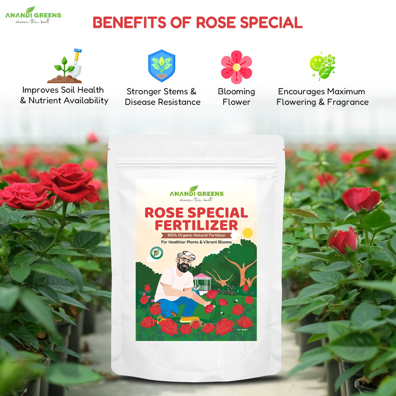 Rose Mix Fertilizer | Organic Rose Food – Anandi Greens — Anandi Green's